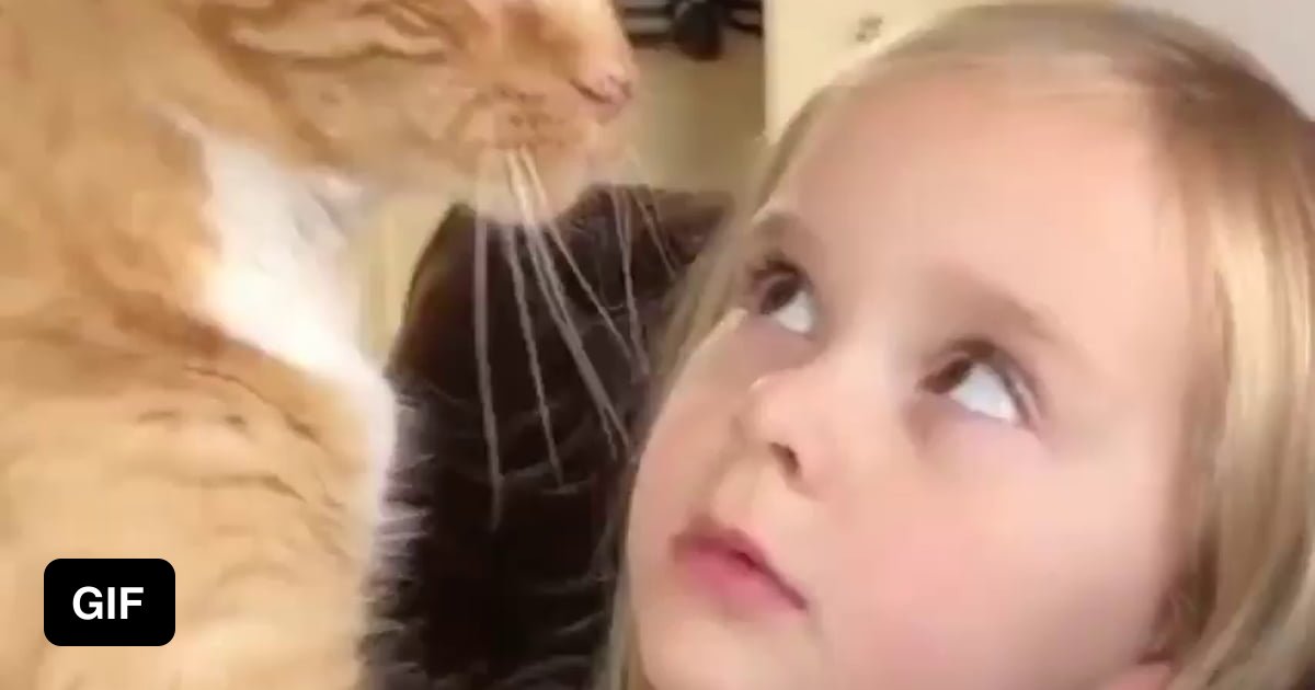 Insert original title - 9GAG