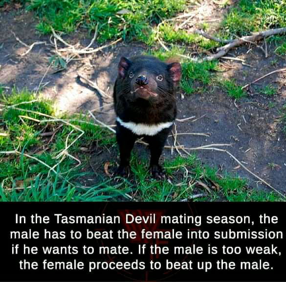 Too bad You're too weak to mate, mate - 9GAG