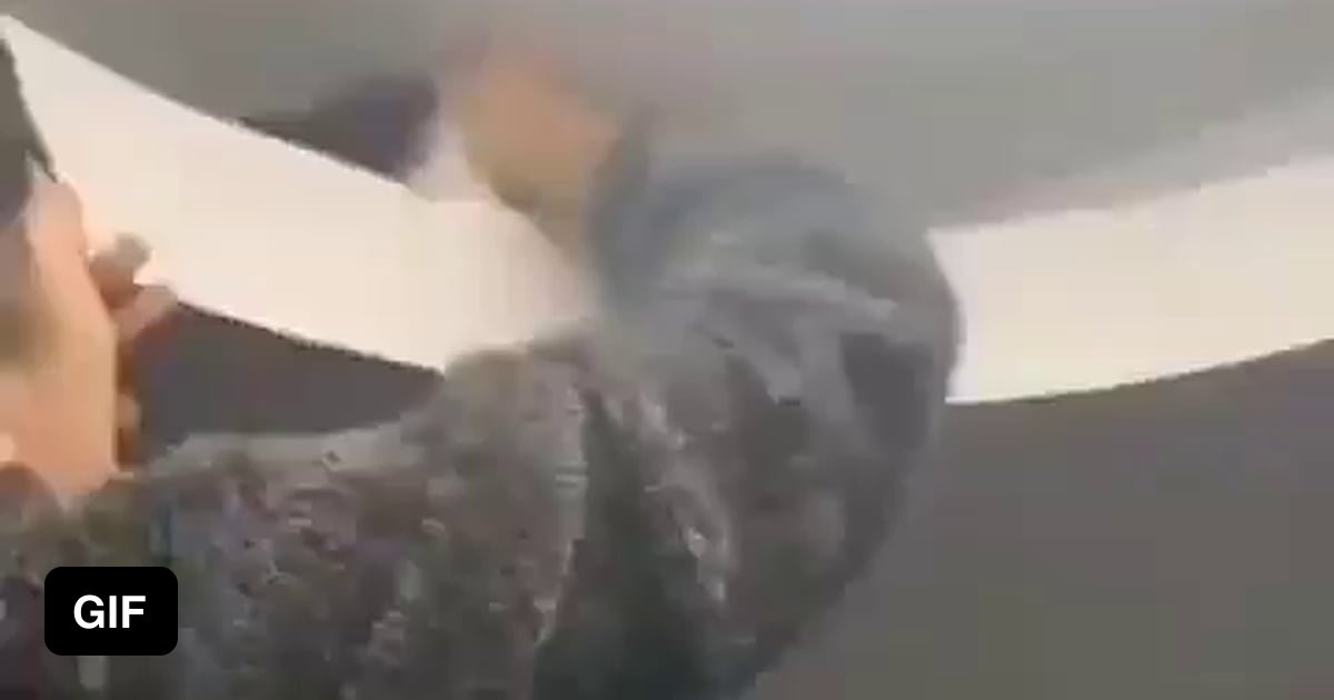 One of the cats got stuck in the ceiling - 9GAG