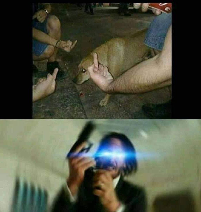 John Wick intensifies - 9GAG