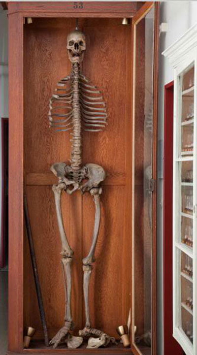 Skeleton of a 8 foot tall German soldier from the 16th century - 9GAG