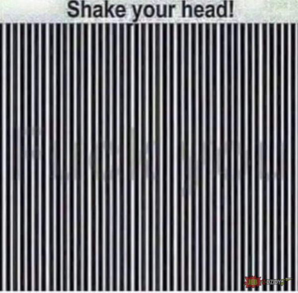 Shake your head - 9GAG