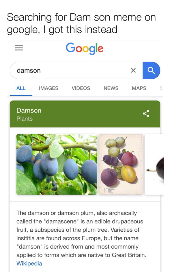 This is not the Dam Son i wanted - 9GAG