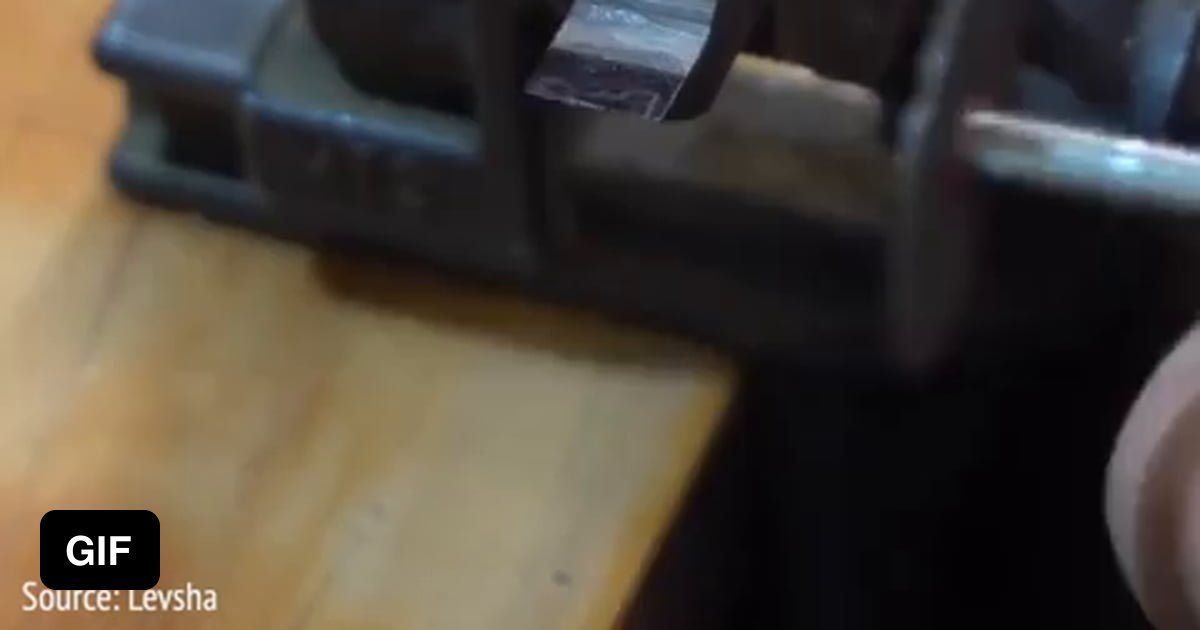 Parts of this video qualify! - 9GAG