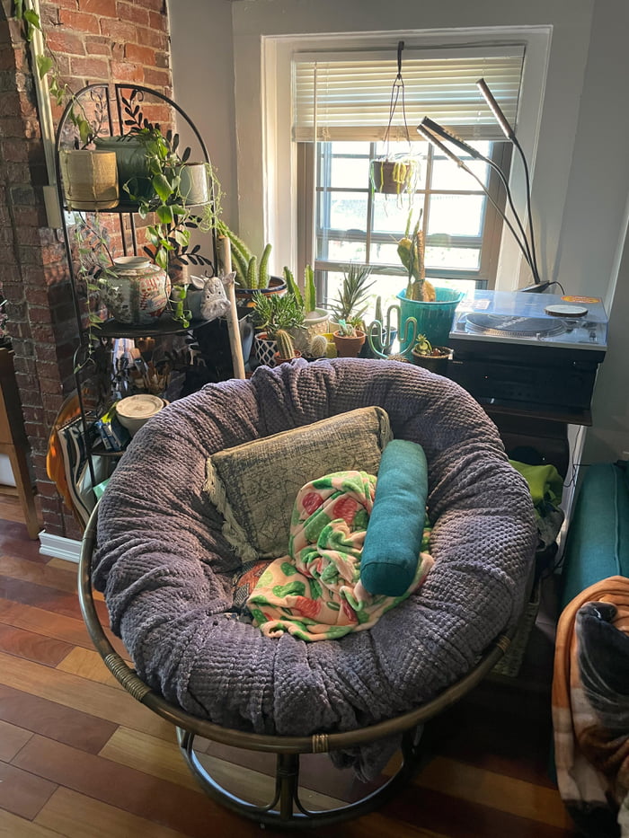 Cozy cacti corner (papasan nook) - 9GAG