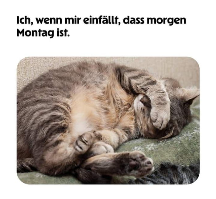 Schade Schokolade - 9GAG