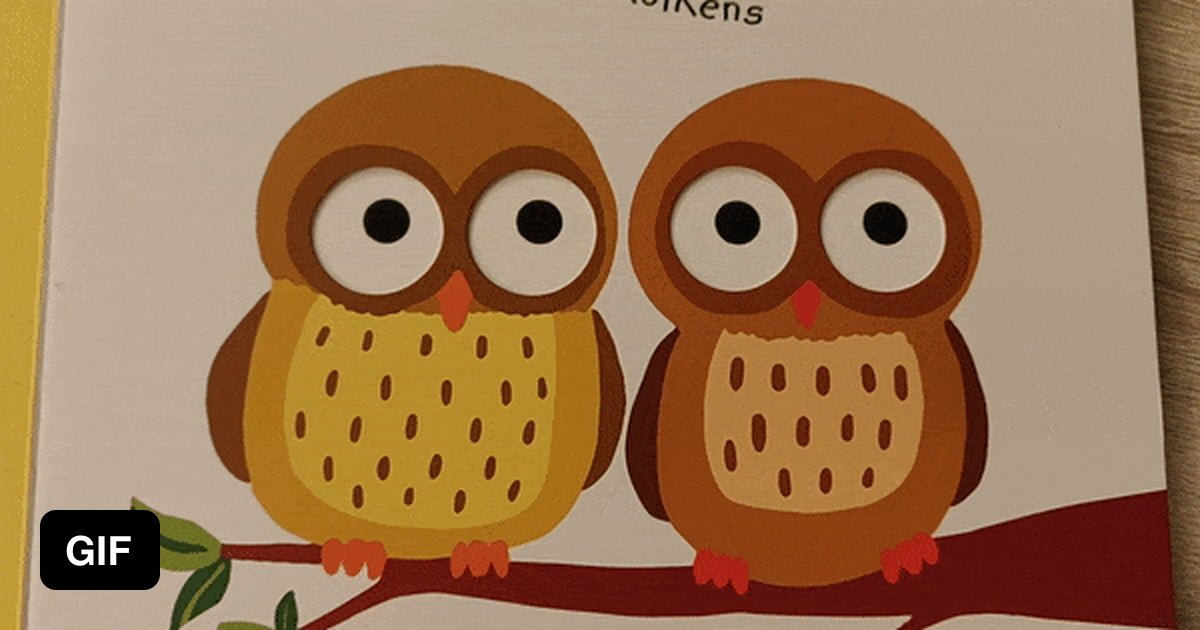 Awkward owls - 9GAG