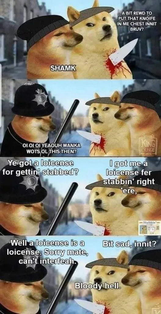 Doge appreciation post #1 - 9GAG