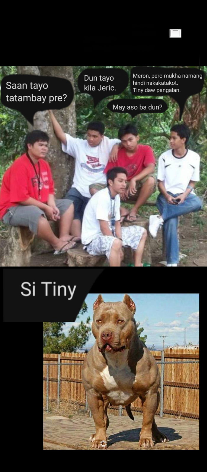 Si Tiny - 9GAG