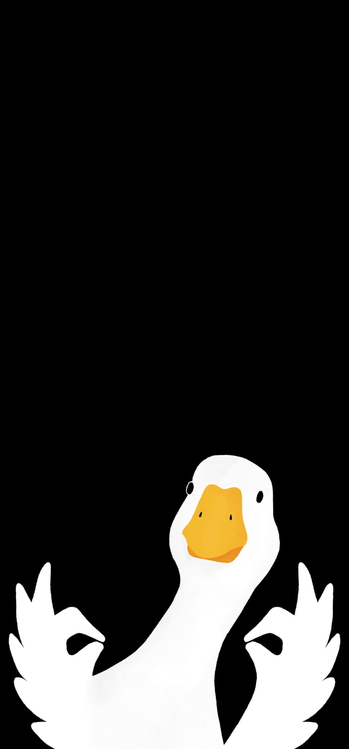 Chilled Out Goose (2880x6176) - 9GAG