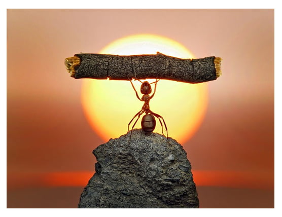 One of the masterpiece of Andrey Pavlov. - 9GAG