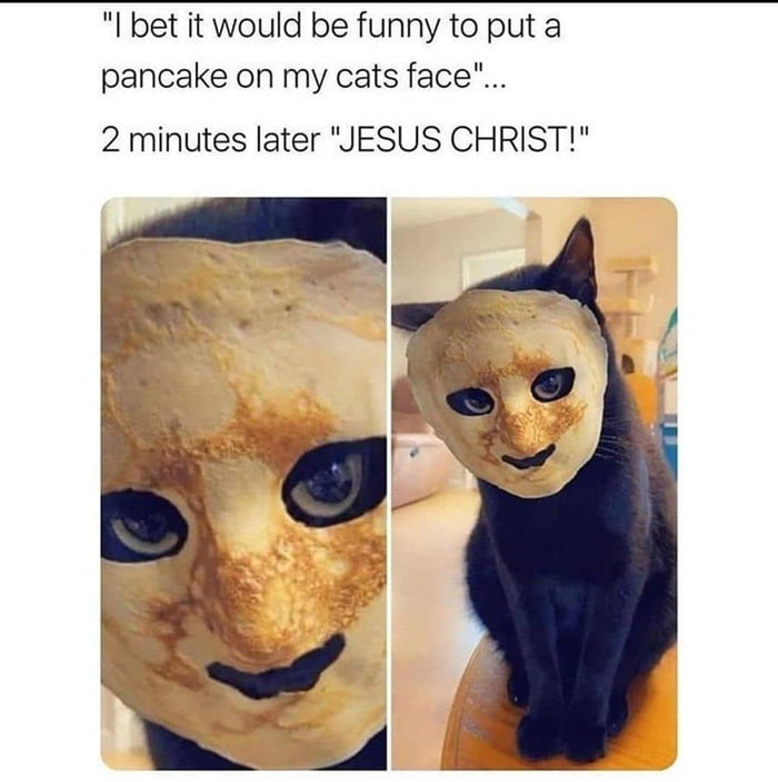 Imagine waking up to this face - 9GAG