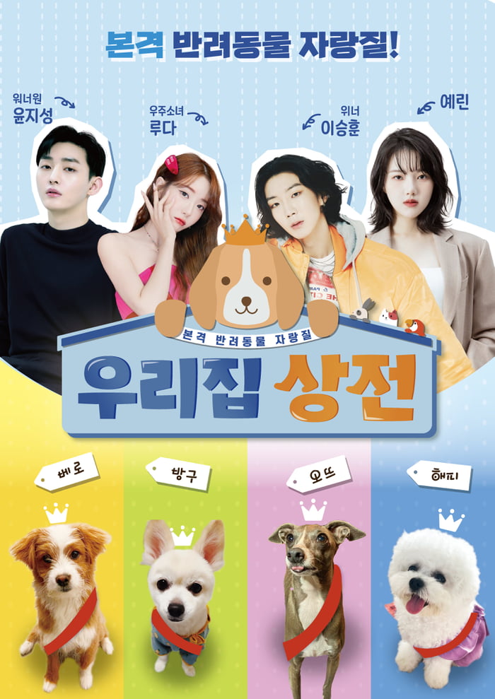 Yerin - KBS Boss Pet Poster - 9GAG