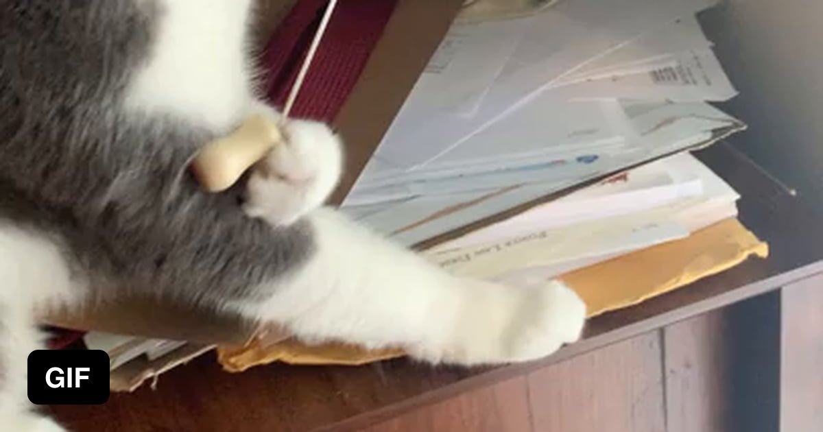 Such good string - 9GAG