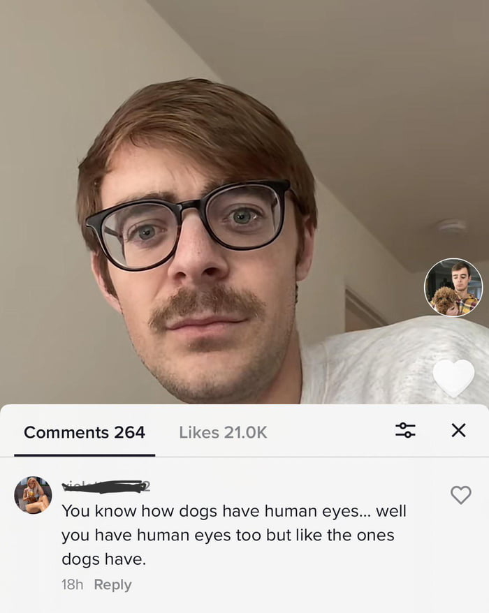 Lassie Is That You 9gag