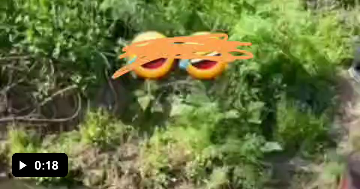 Give me that stick - 9GAG