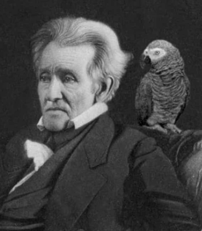 The famous Andrew Jackson owned a parrot named Polly later in his life ...