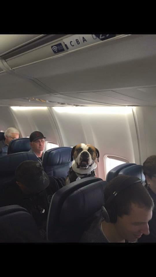 Delta Flight Attendant the Only One Paying Attention To The Safety Delta Flight Attendant the Only One Paying Attention To The Safety