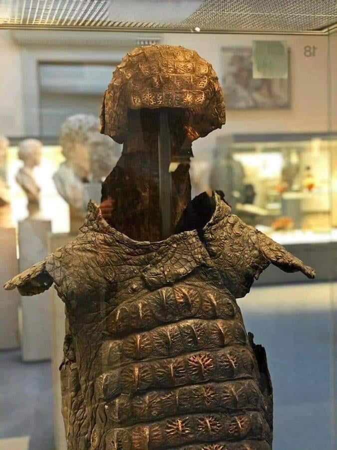 Armor made from the skin of a crocodile, used in military-style ...