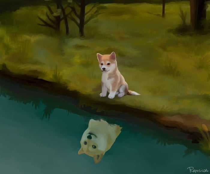 Doge Dream - 9GAG