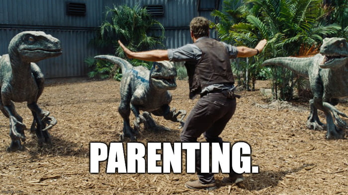 Be a parent they said, it will be fun they said, cute they said ...
