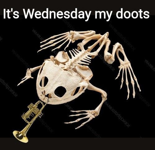 Wednesday spook doot - 9GAG