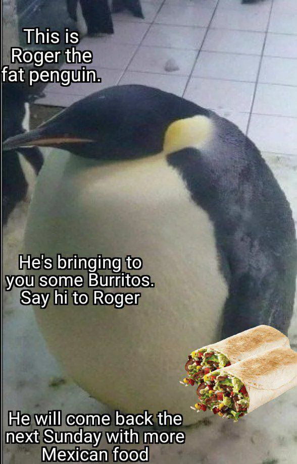 Say Hi To Roger 9gag