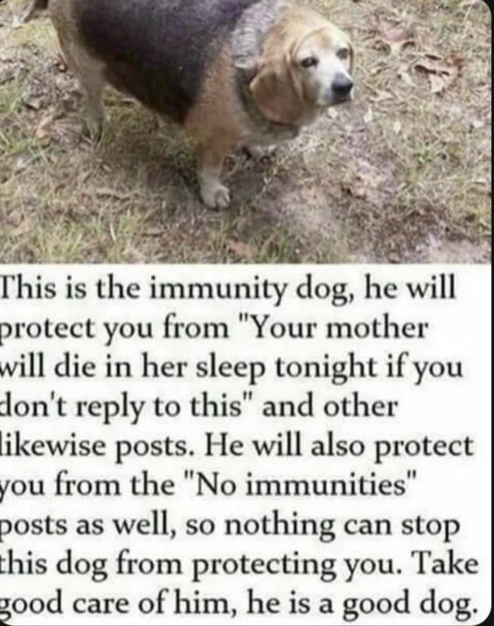 The immune chonkus - 9GAG