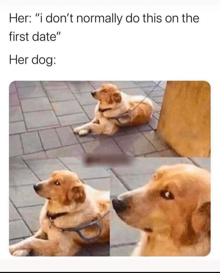 Good boi - 9GAG