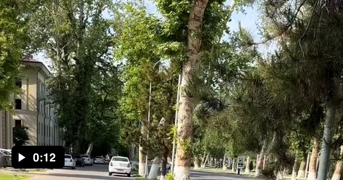 Explain your smolness - 9GAG