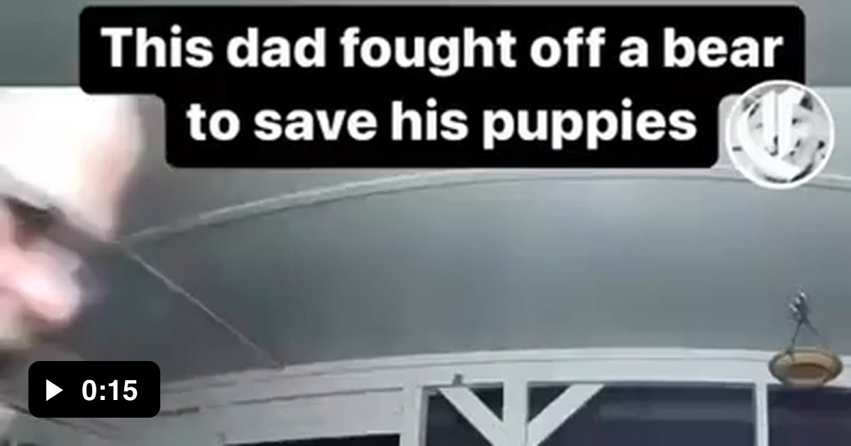 You do what you have to to save your dog(s)! - 9GAG