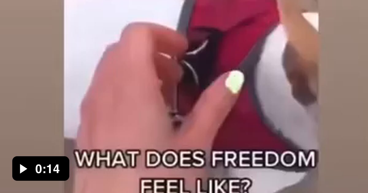 The feeling of sweet freedom. - 9GAG