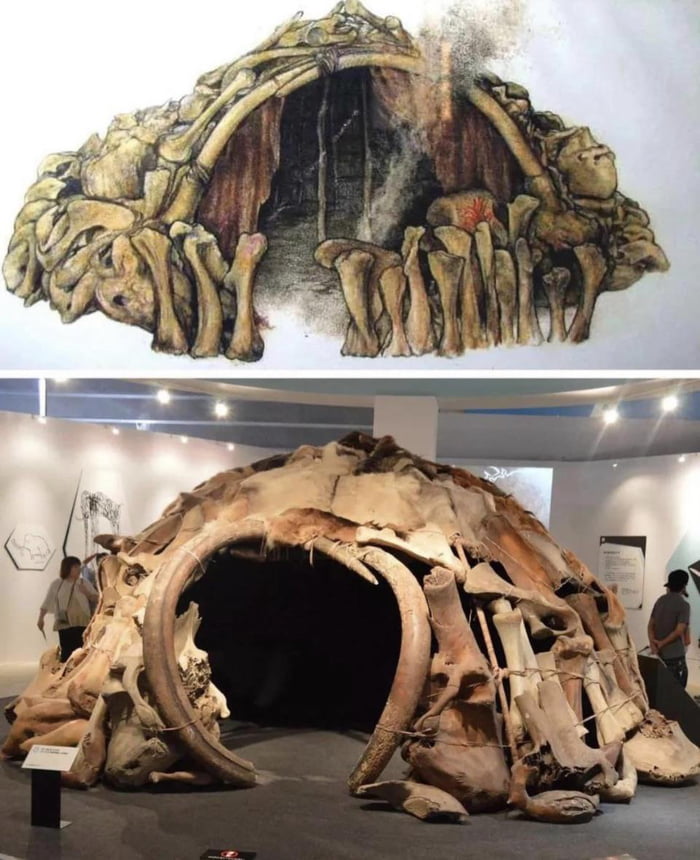 In 1965, excavations in Mezhyrich, Ukraine, revealed the presence of 4 ...