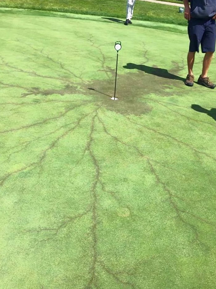This is what happens when lightning hits the cup and pin of a golf ...