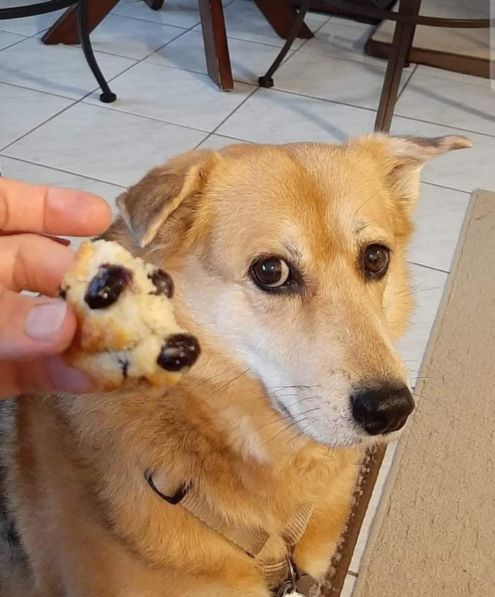 Twins 9gag