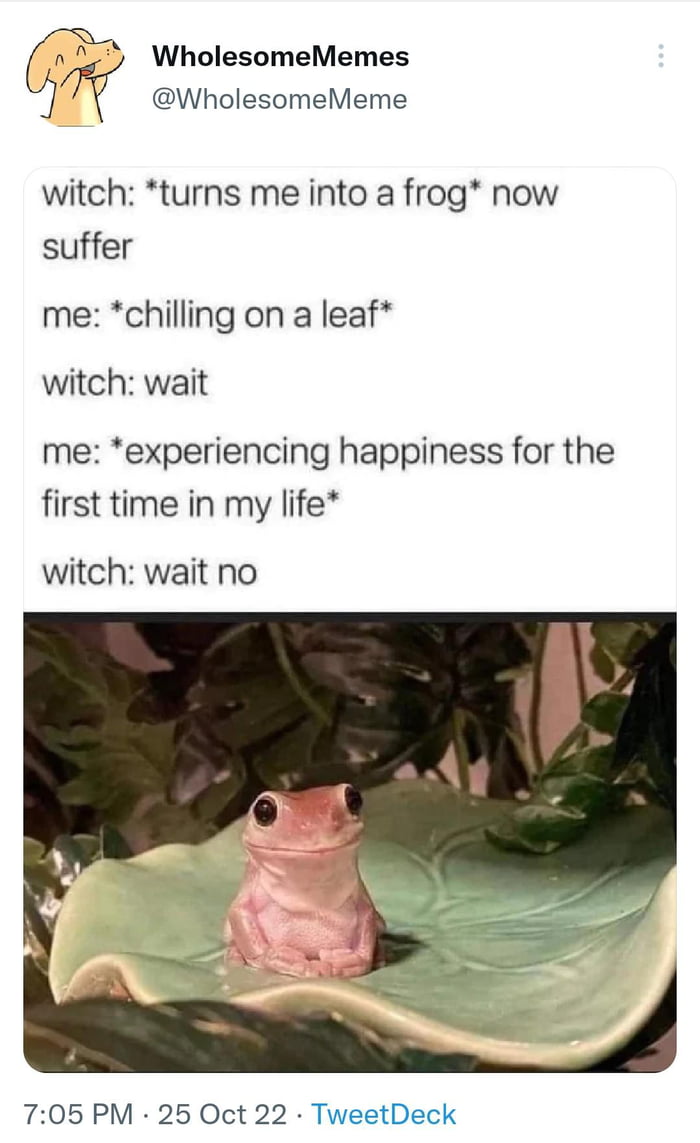 Be a frog. - 9GAG