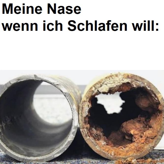 Dachte im Oktober kann ich wenigstens nachts mal Lüften - zack Stechmücken - 9GAG