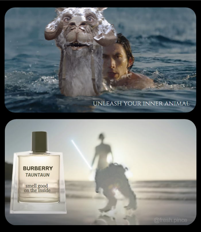 The ladies love it - 9GAG