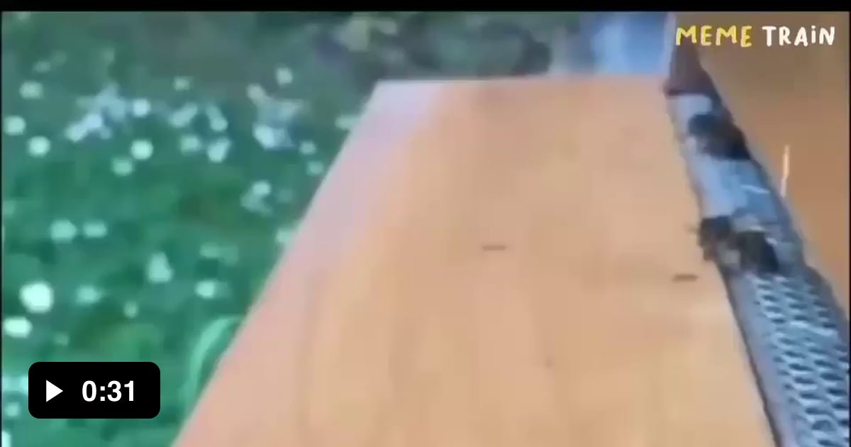 Bee(n) there, done that - 9GAG