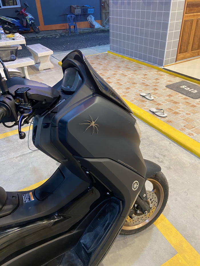 I guess it’s my security system now - 9GAG