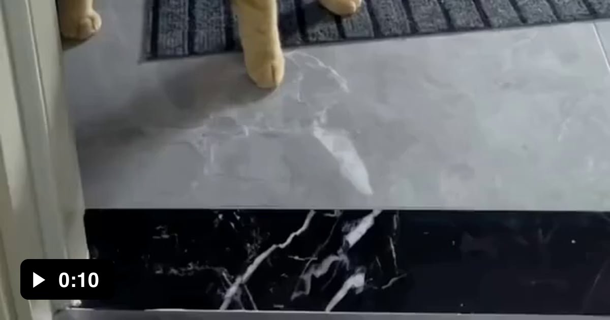 Wooooosh you now have smol pener - 9GAG