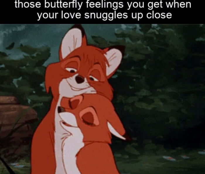 Makes me feel all fuzzy inside - 9GAG