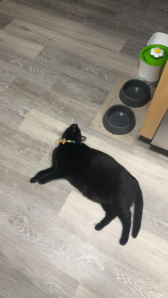 Bro is dramatic as hell - 9GAG