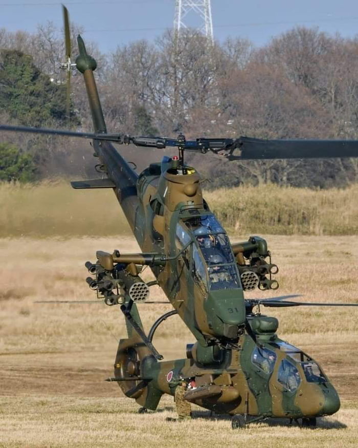 Helis mating. Nature is fascinating - 9GAG