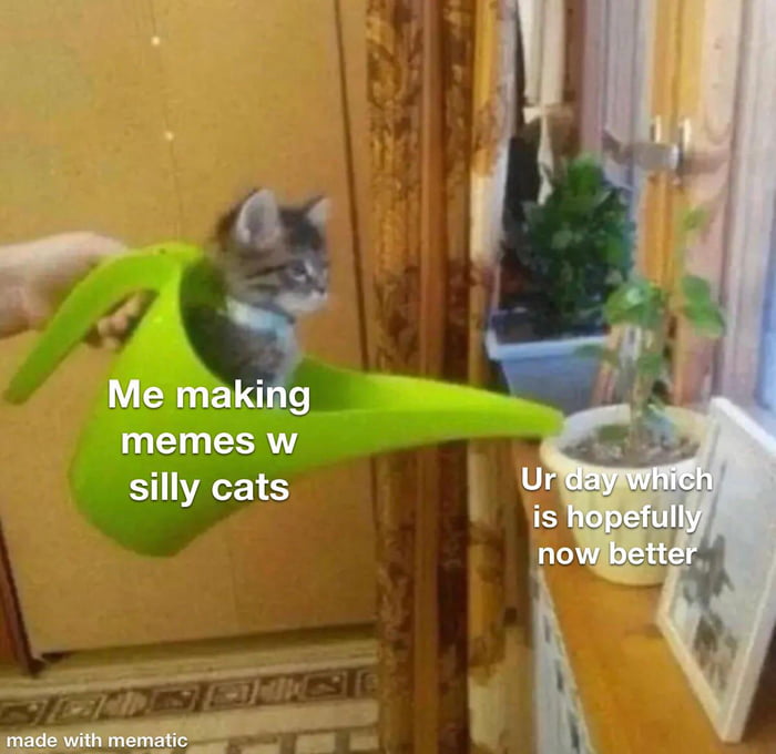 Cat mems are best mems - 9GAG