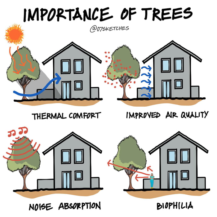 This is why you should plant more trees - 9GAG