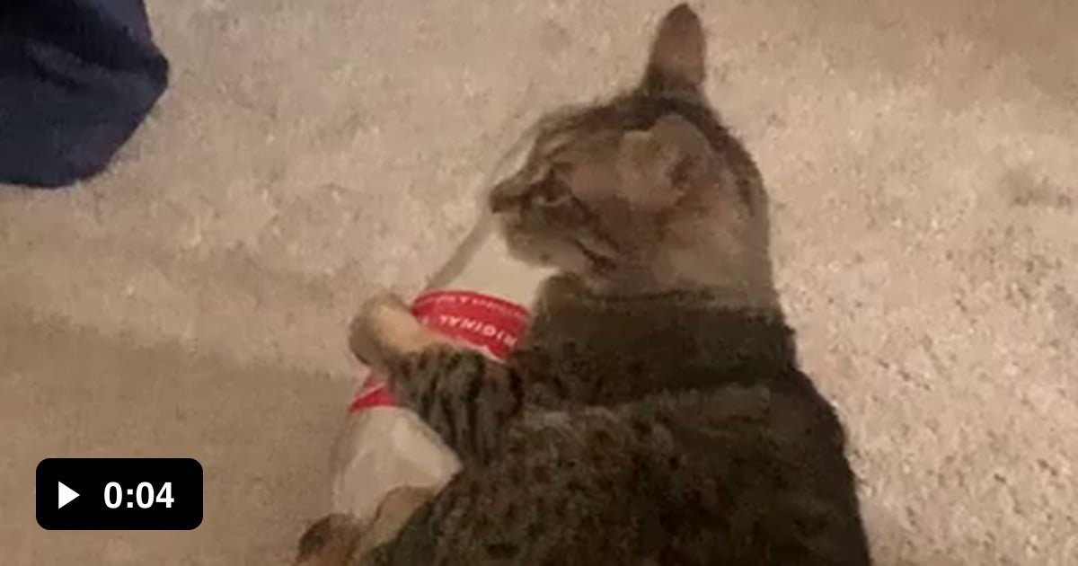 Chomp - 9GAG