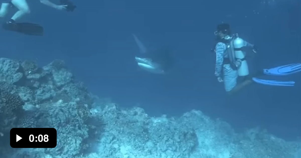 Camera man caught lacking - 9GAG