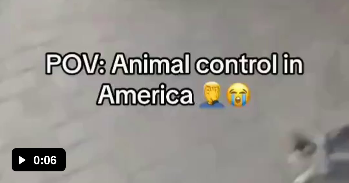 When you Pssst pssst a cute cat - 9GAG