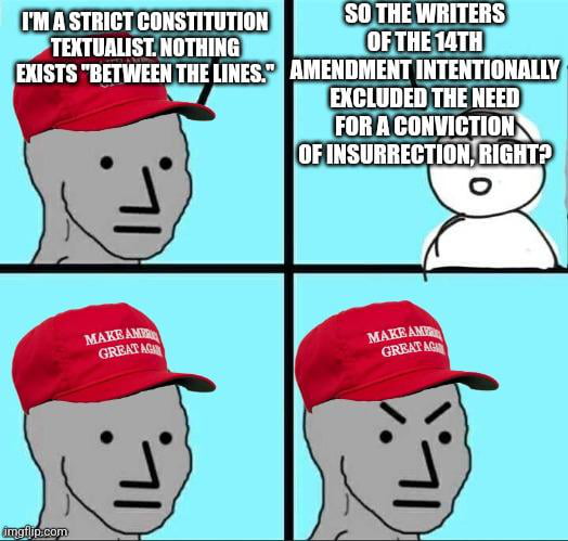 But muh strict interpretation! - 9GAG